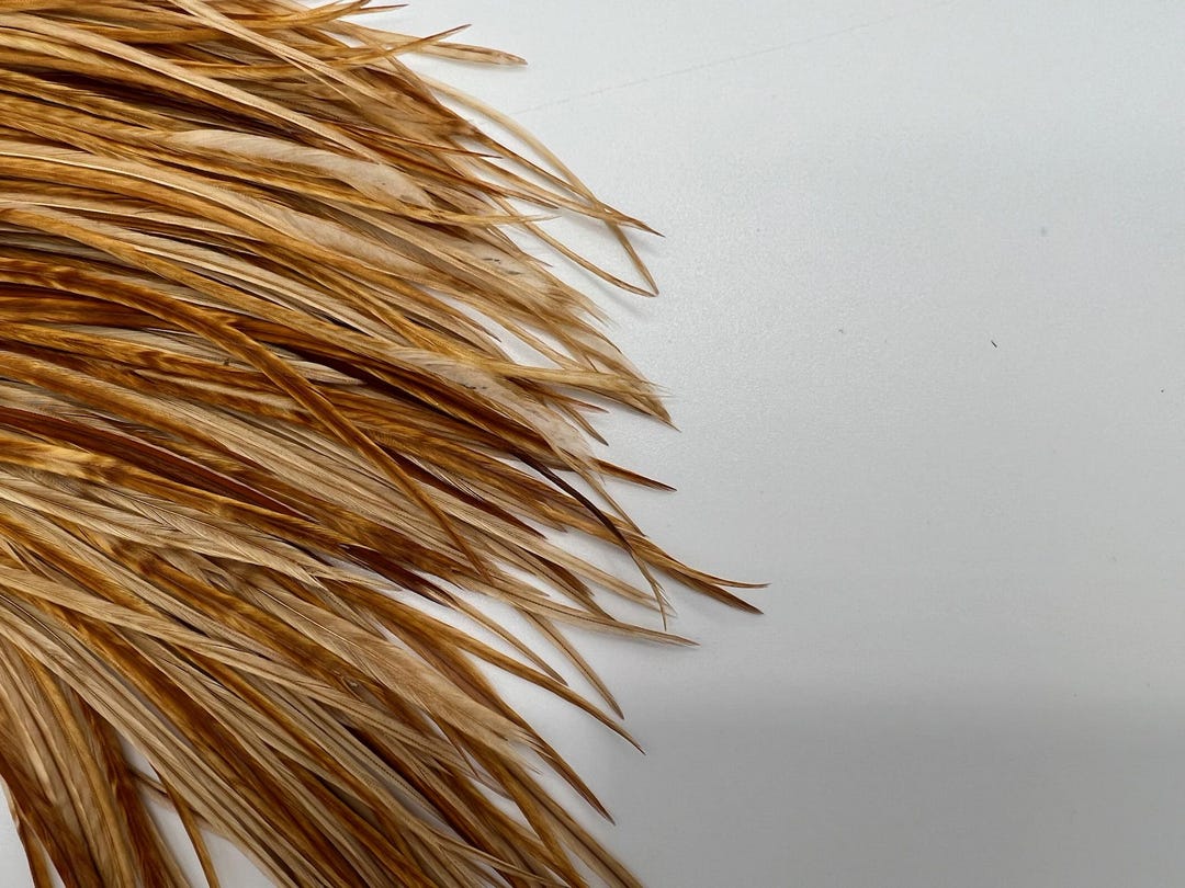 Red Furnace Ginger Feather Hair Extensions - Real, Natural Auburn ...