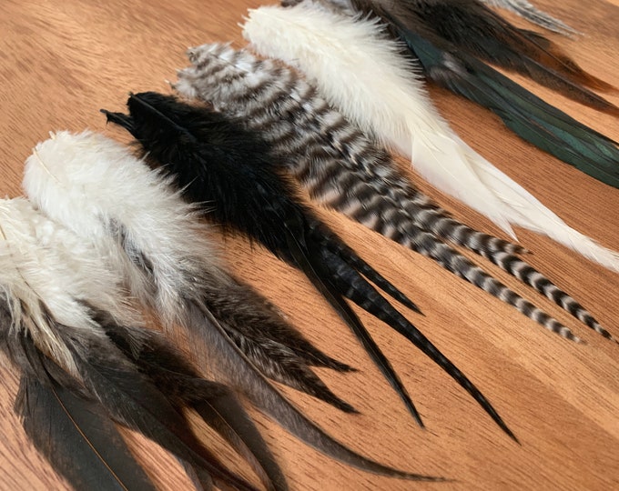 Wholesale Feathers • Short Thick Fluffy Rooster Hair Feathers • Natural ...