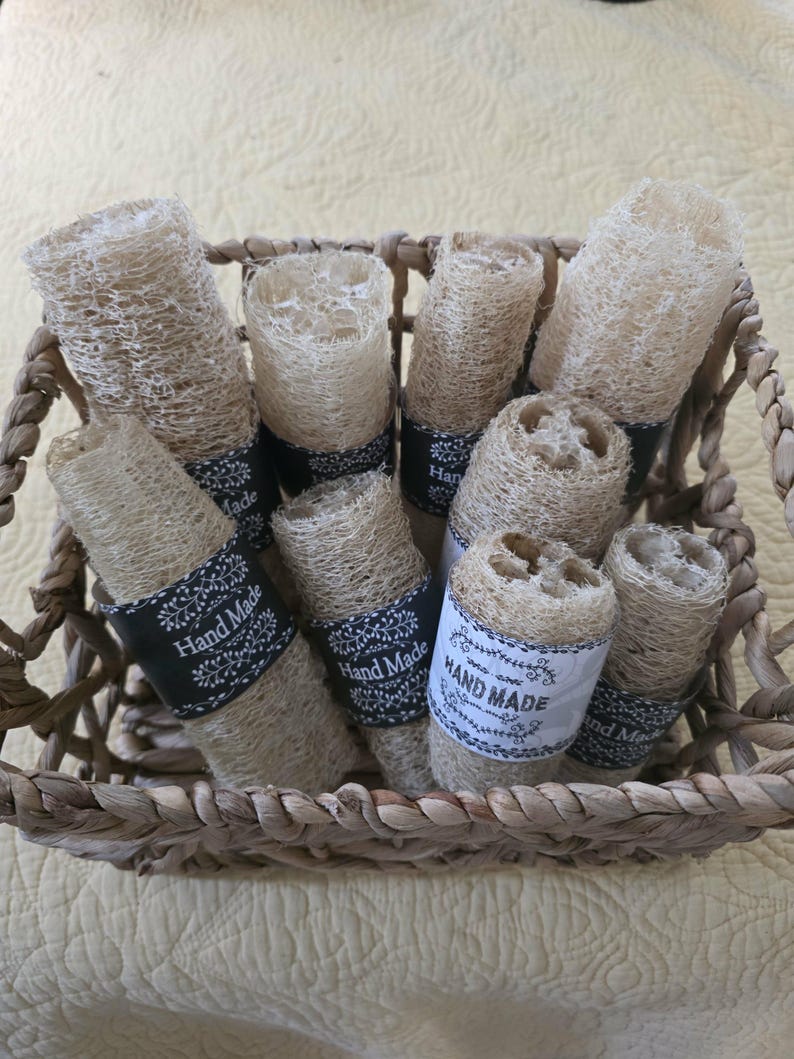 Loofah Gourd Seeds ~ Sponge Gourd ~ Heirloom Asian Vegetable | Florida ...