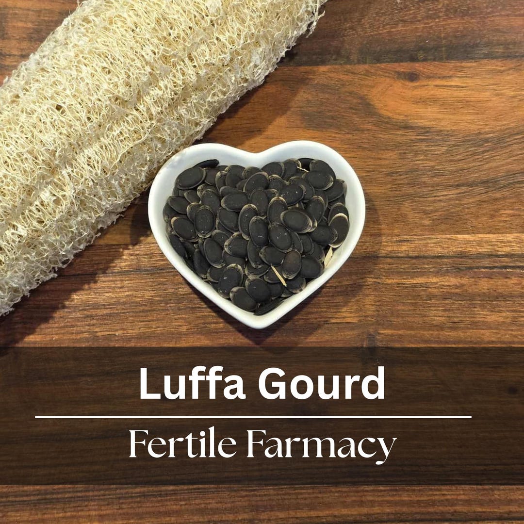 Loofah Seeds | Sponge Gourd for Eating/cleaning | Heirloom Asian ...
