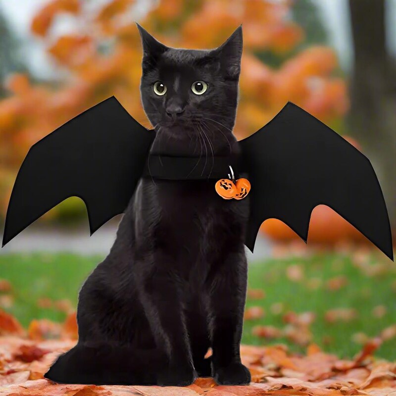 Dog Costume With Bat Costume - Etsy UK