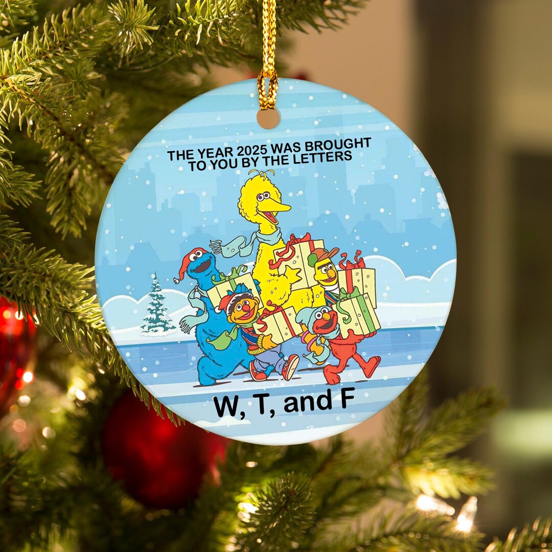 Funny WTF 2025 Christmas Ornament, 2025 Ornament, Christmas 2025 ...