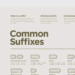 Common Suffixes Cream Poster - Educational Suffix List for Classroom ...
