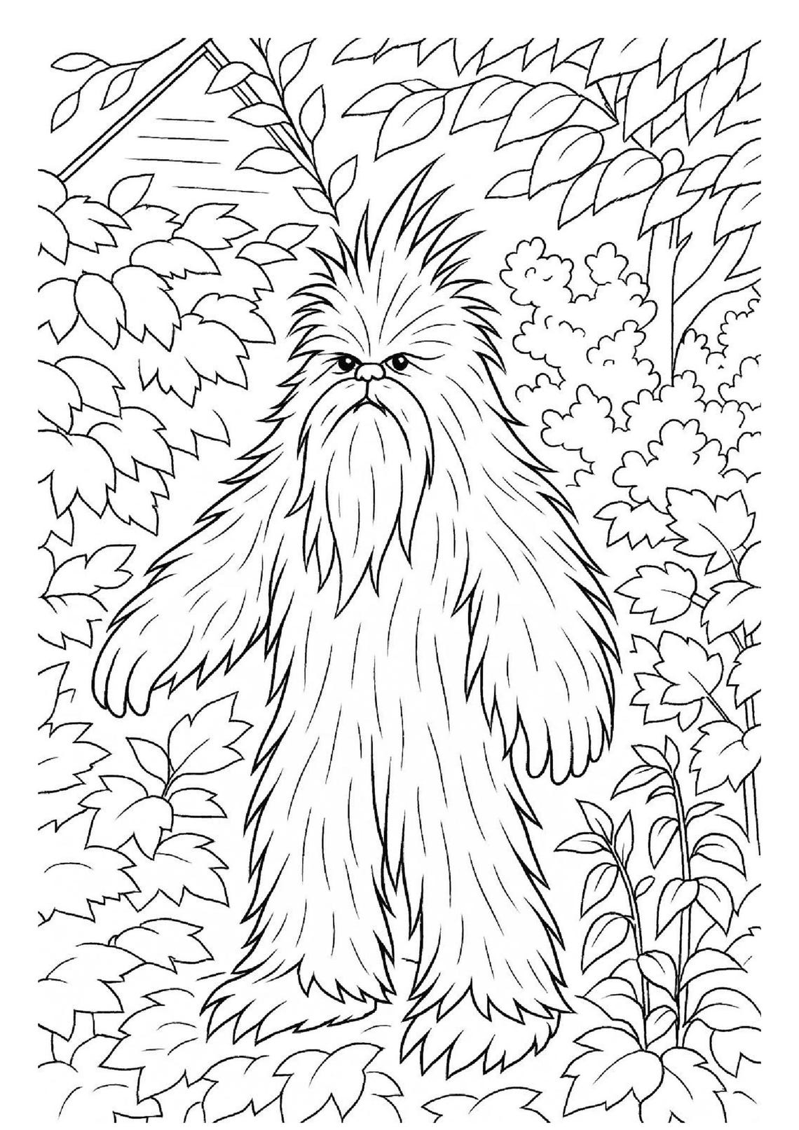 21 Sasquatch Printable Coloring Pages - Etsy