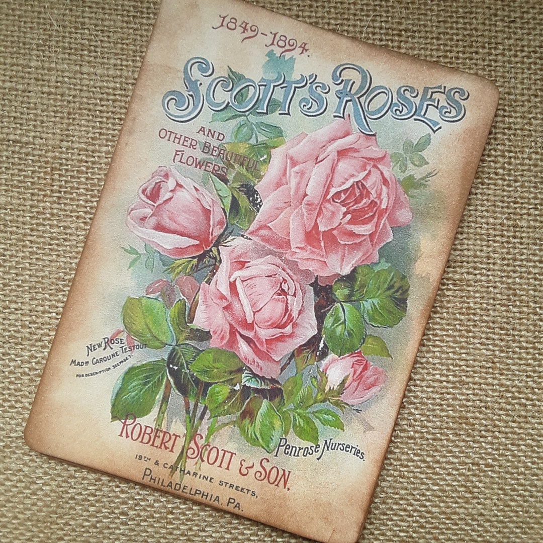 Vintage Rose Seed Packet Journal Card: Distressed Blank Card - Etsy