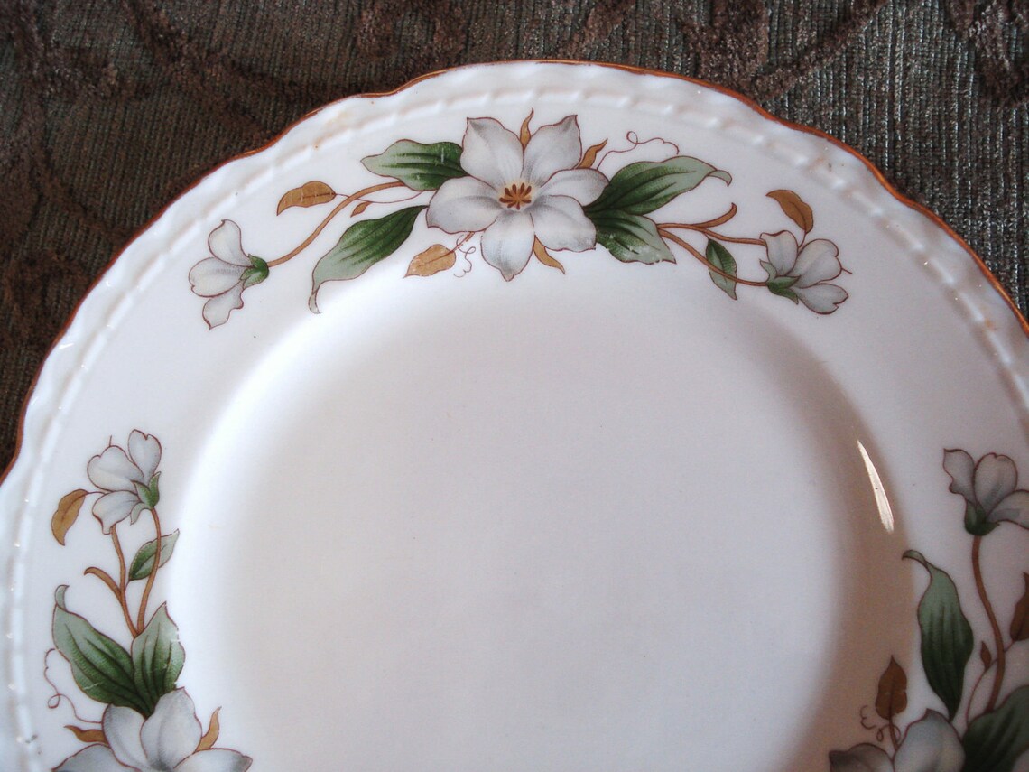 Vintage Princess China Bridal Wreath Pattern Japan 6 Bread and Butter ...