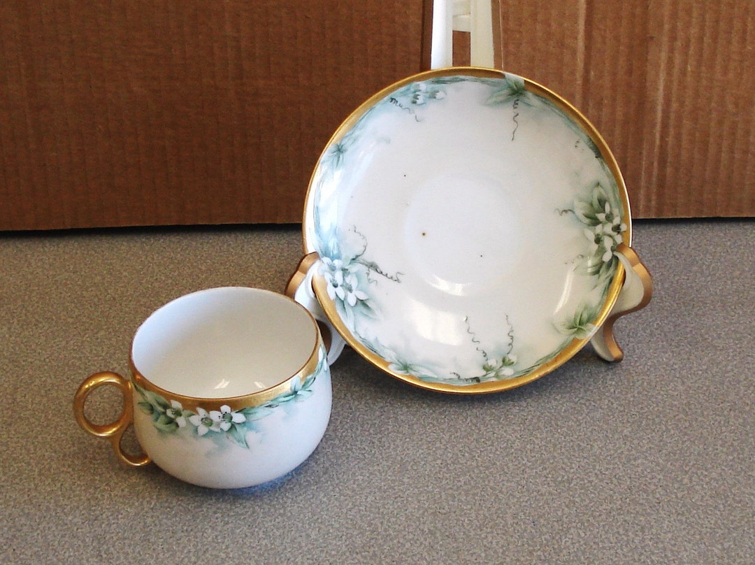 Antique WEHINGER Austria Hand Painted Cup and Saucer - Etsy