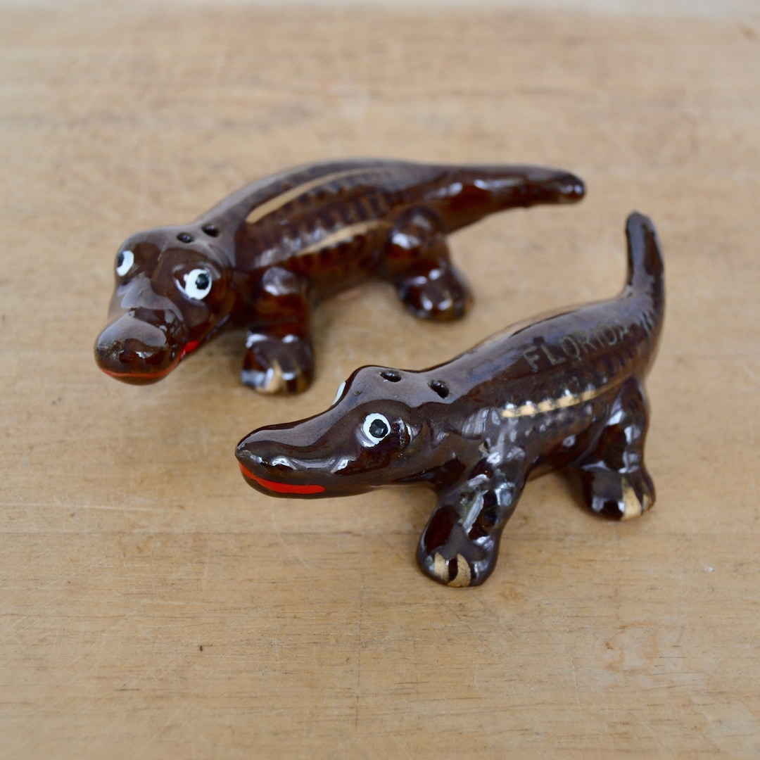 Vintage Florida Souvenir Alligator Salt and Pepper Shakers Made in ...