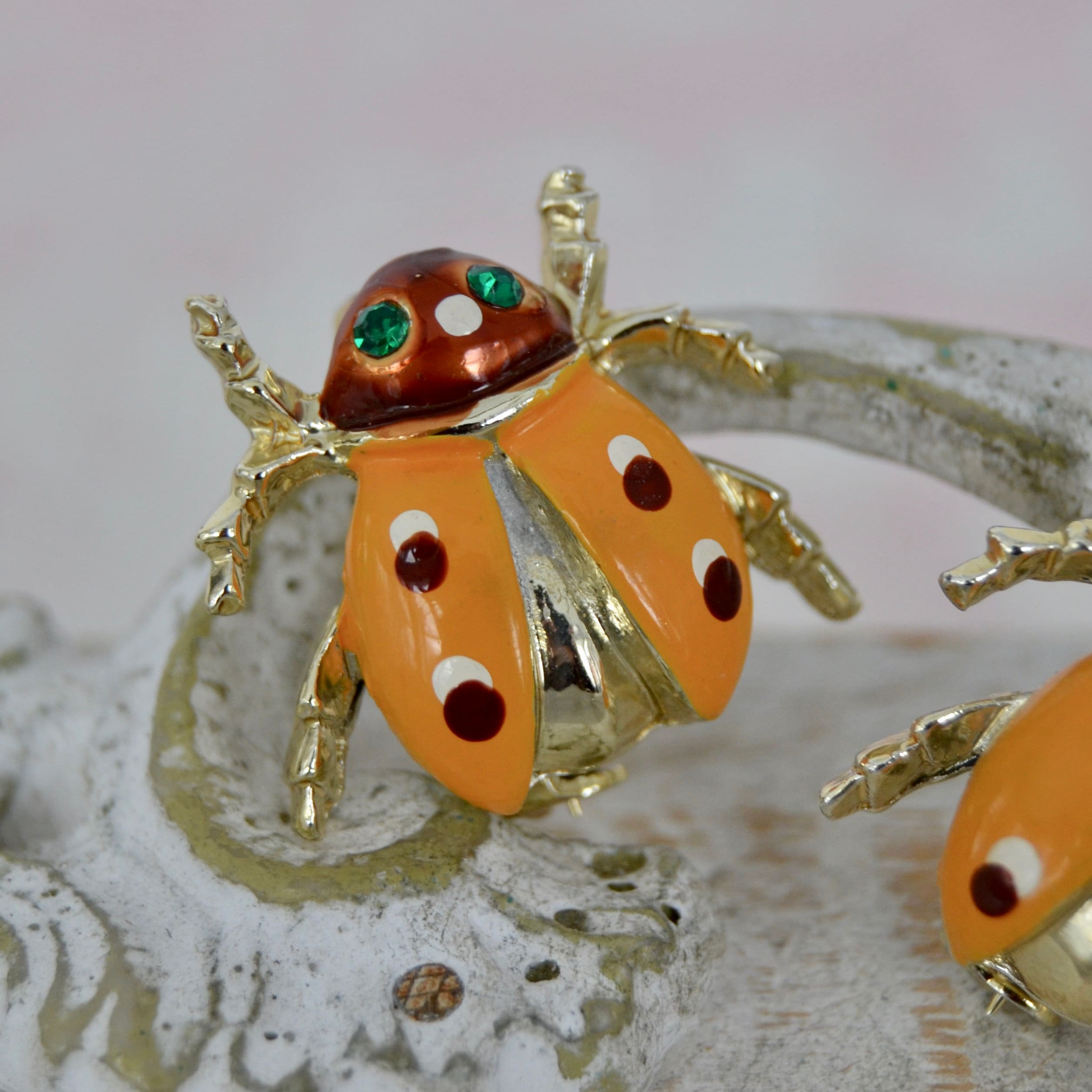 Vintage Pair of Bug Brooches with Enamel Bodies and Rhinestone | Etsy