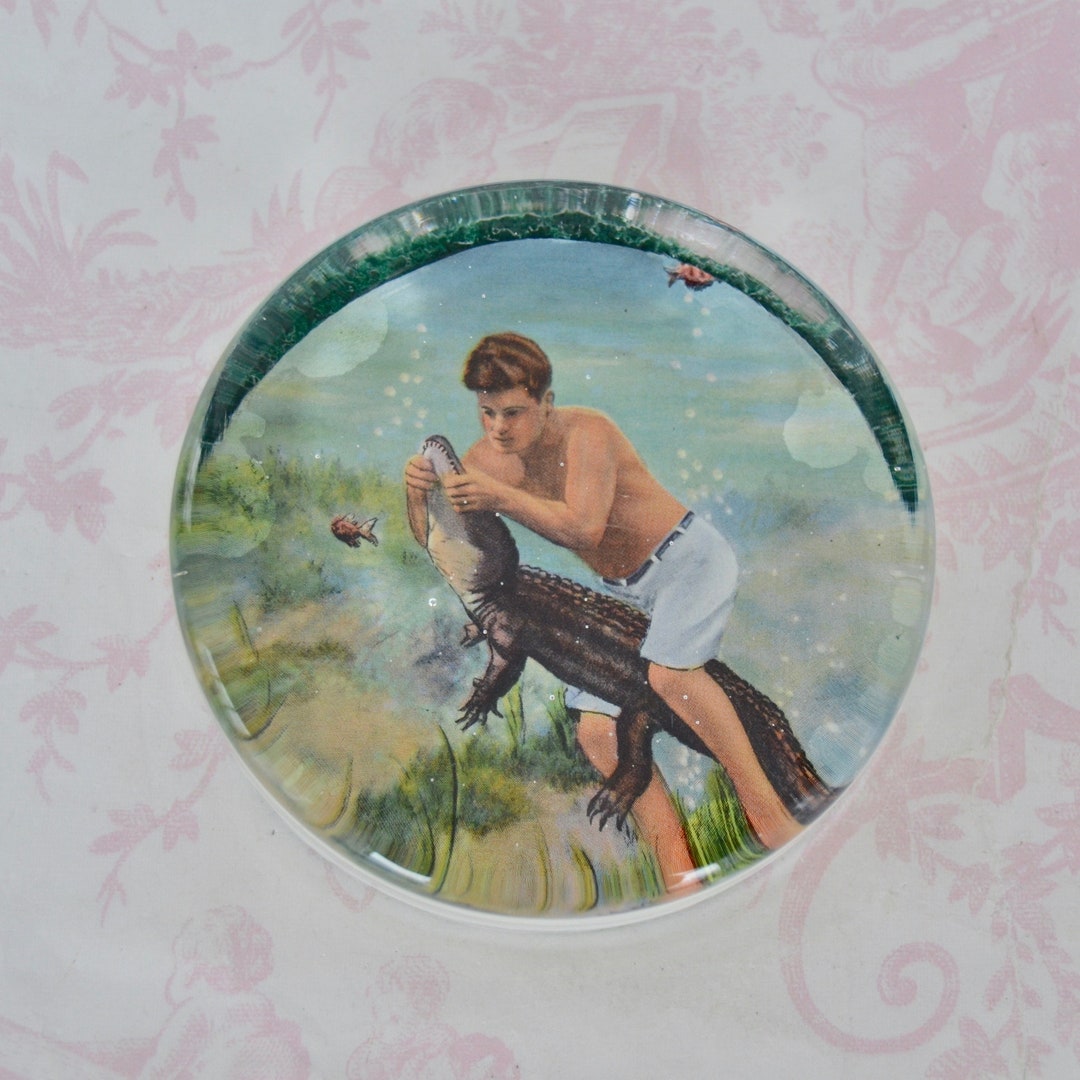 Glass Paperweight With Silver Springs Postcard of Man Wrestling an ...