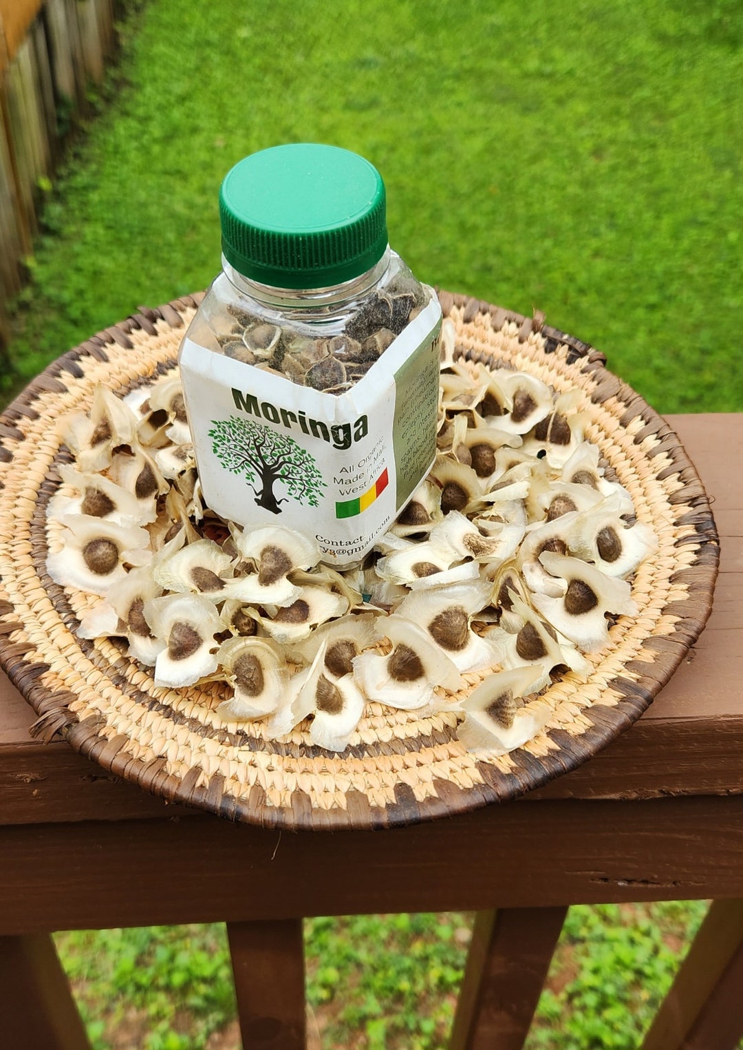 Organic Moringa Seeds Fresh From Mali. Olefeira Organic Seeds Non GMO ...