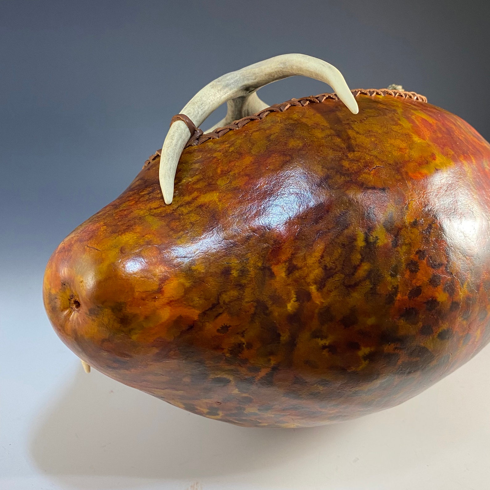Gourd Art Vessel Dyed With Transtint. Leather Lacing Woven Rim. Antler ...