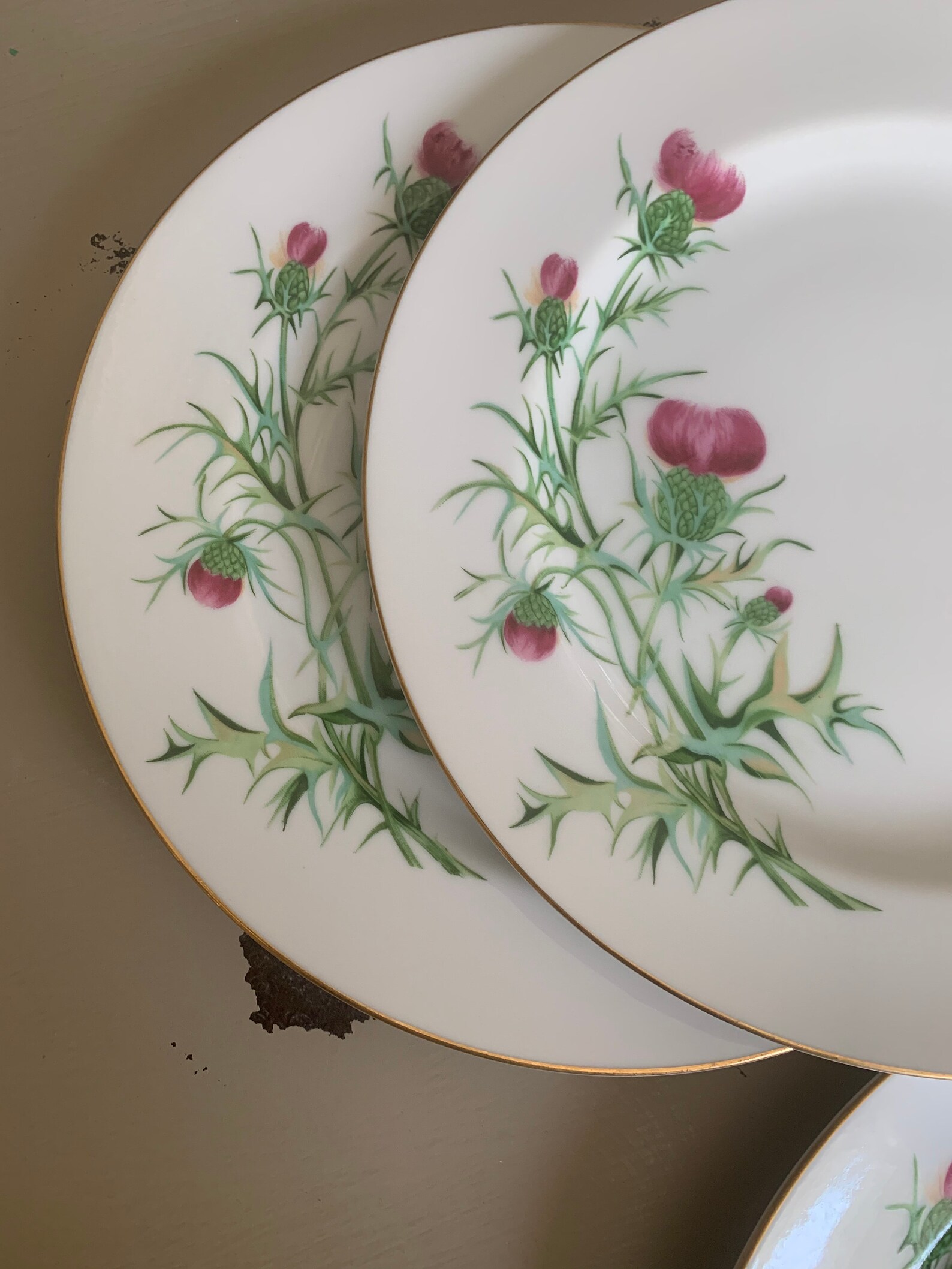 Craftsman China Thistle 9 Inch Plates // Gold Trimmed Berry and Green ...