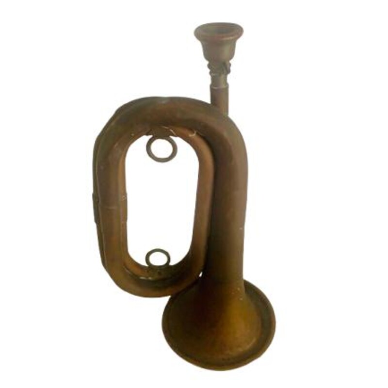 Antique Horns - Etsy