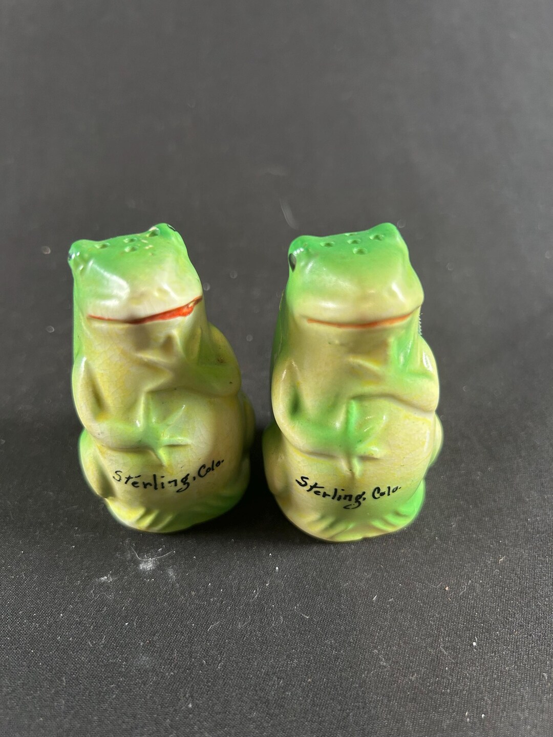 Vintage Salt and Salt Set of Frogs From Sterling Colorado With Cork - Etsy
