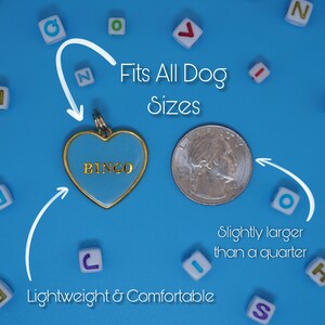 Custom Pet ID Tag Double-sided, Personalized Dog & Cat Tag - Etsy
