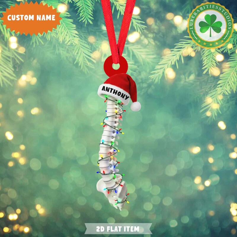 Lower Back L Spine - Etsy Canada