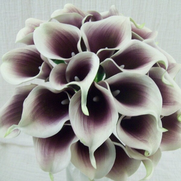Plum Calla Lilies - Etsy