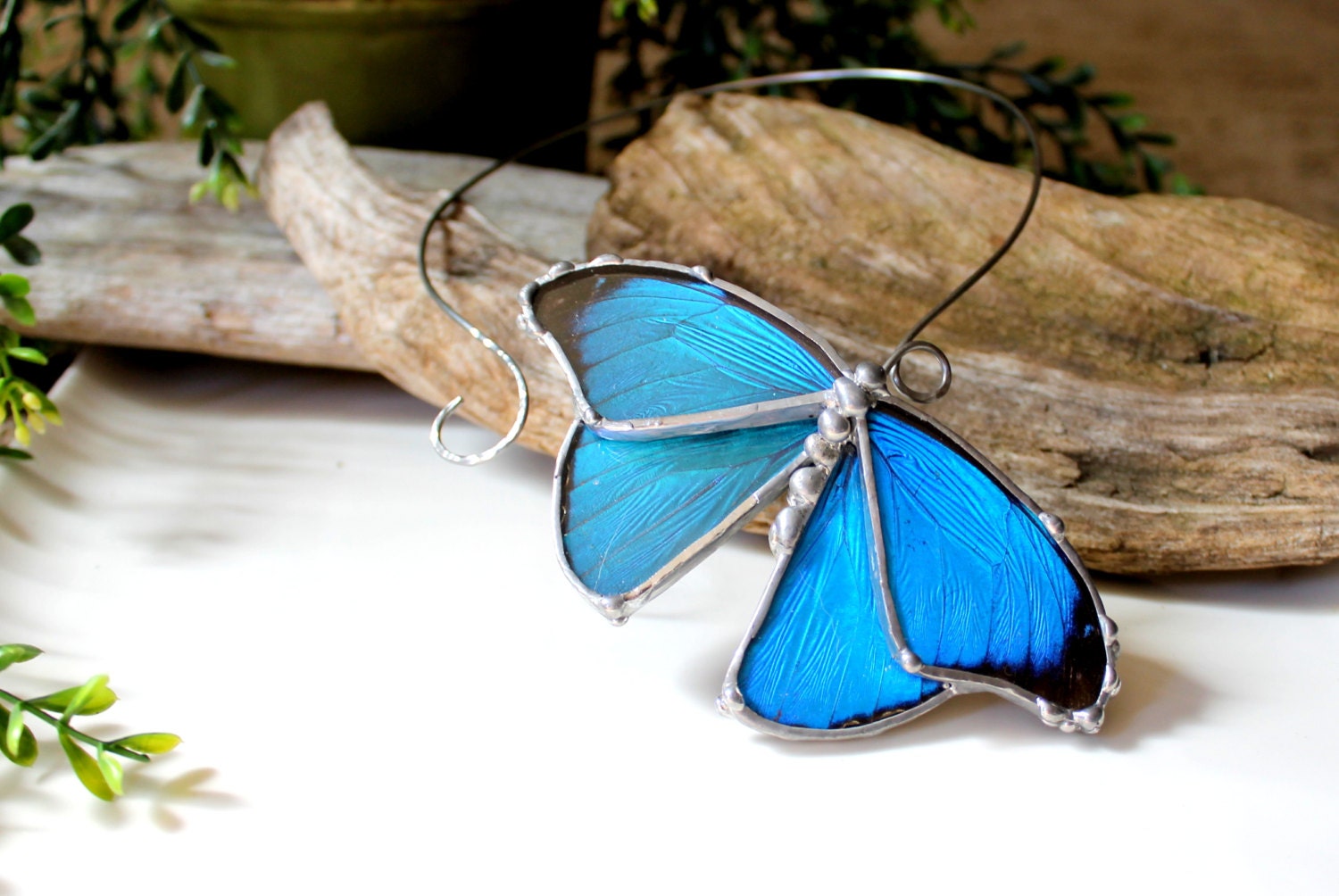 Blue Butterfly Choker Real Blue Butterfly Necklace Party - Etsy Canada