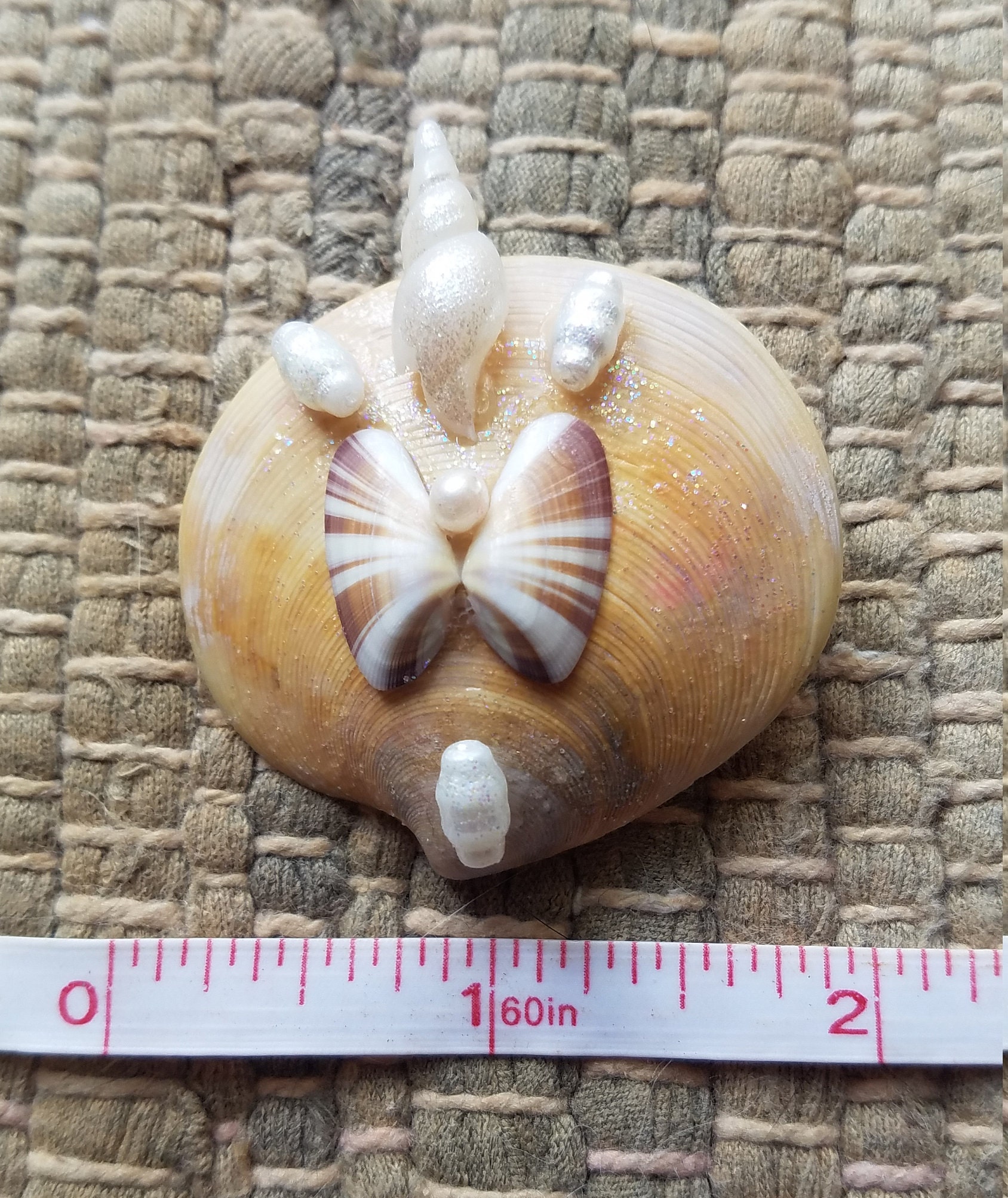 Butterfly Coquina Clam Shell and Pearl OOAK Hair Clip Mermaid Costume ...