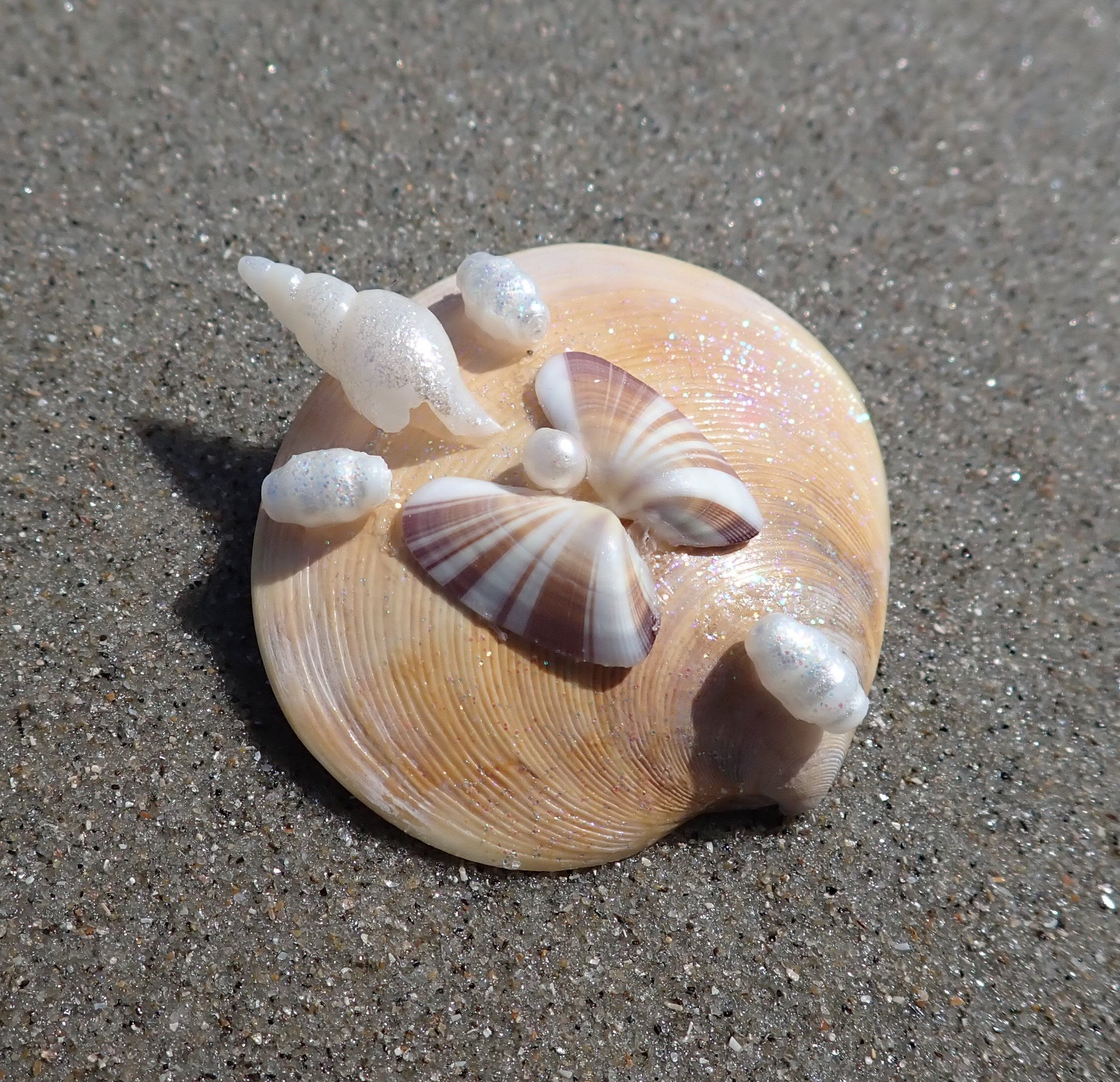 Butterfly Coquina Clam Shell and Pearl OOAK Hair Clip Mermaid Costume ...