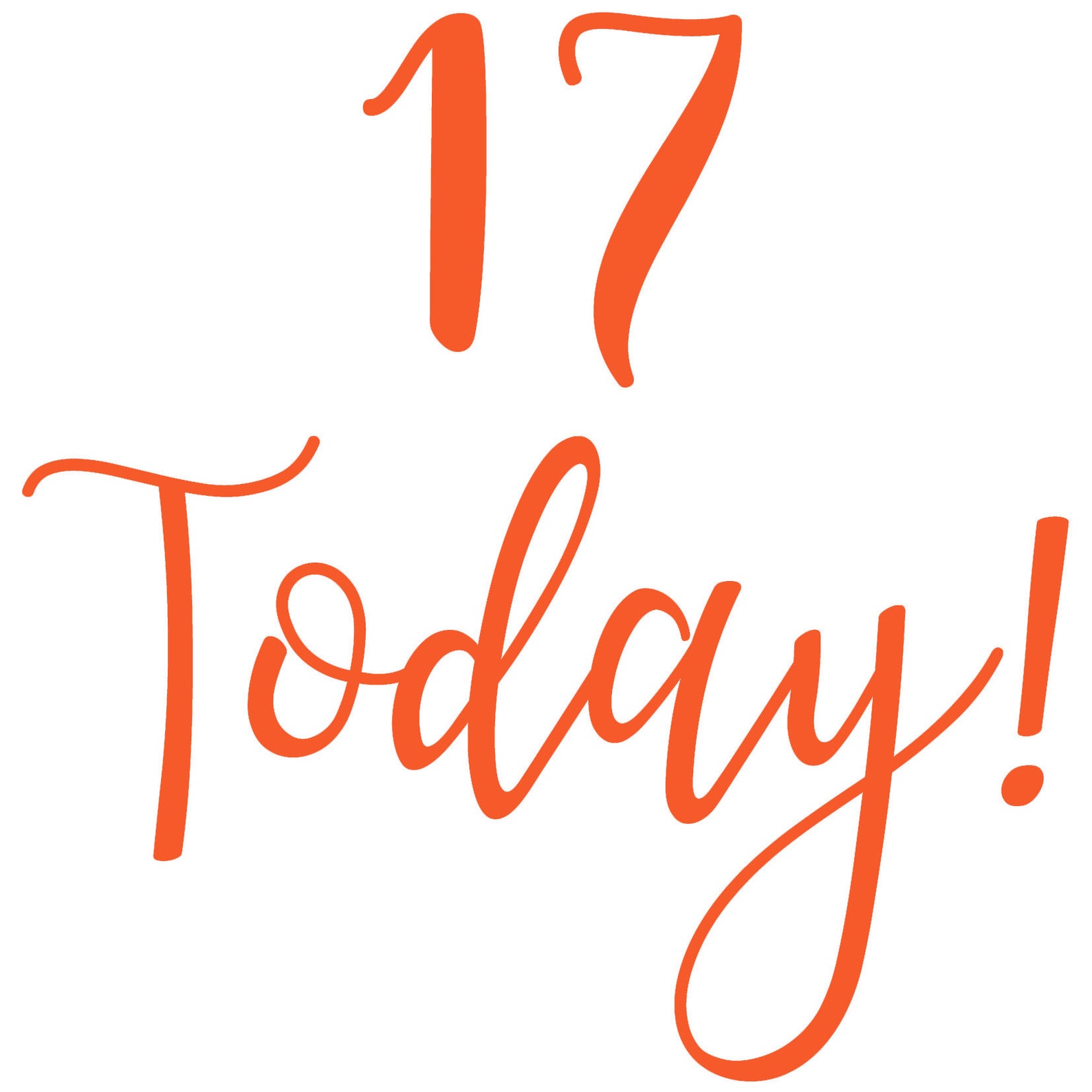 17 Today Vinyl Sticker Decal Labels for Glasses Mugs. | Etsy