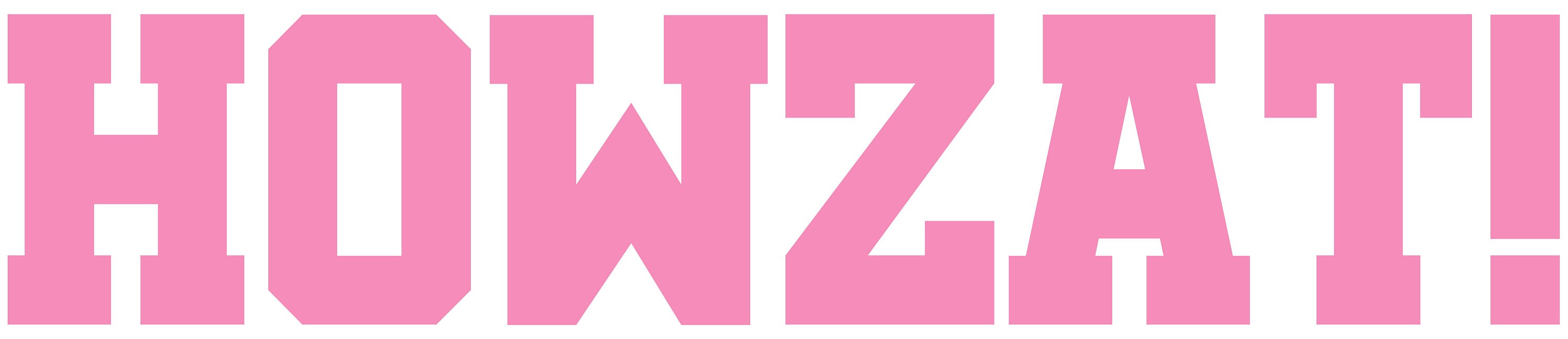 Howzat Quote Vinyl Wall Art Sticker Decal. Home Wall | Etsy