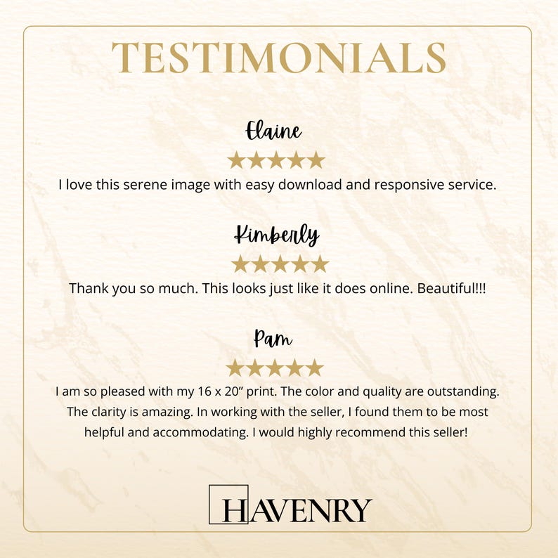 Moody Coiled Snake in Misty Forest - Monochrome Woodland Art, Dramatic ...