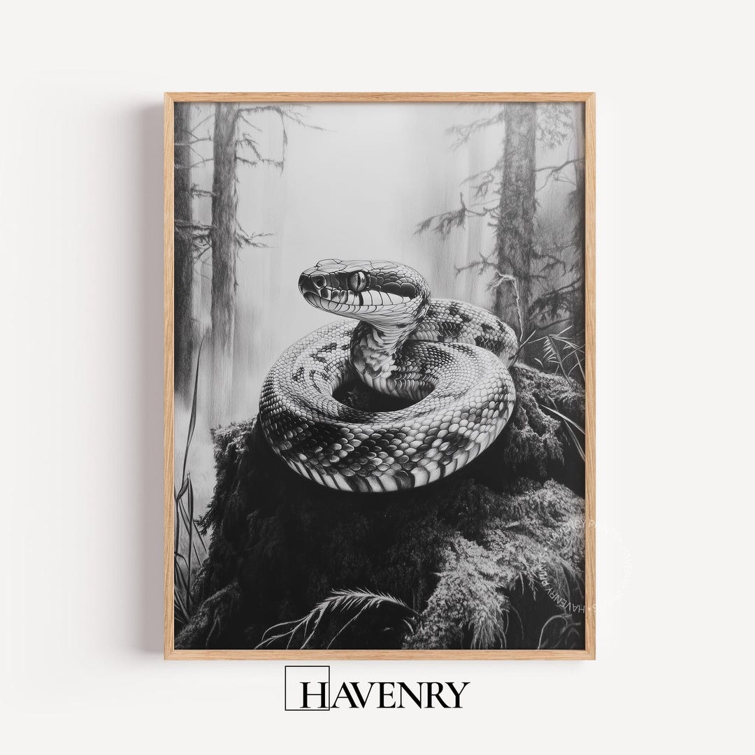 Moody Coiled Snake in Misty Forest - Monochrome Woodland Art, Dramatic ...