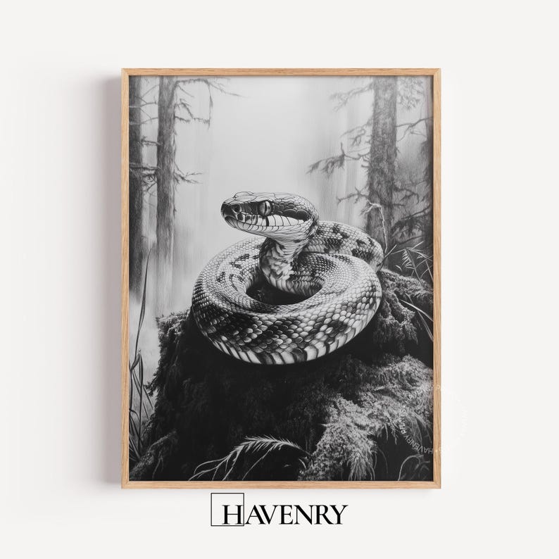 Moody Coiled Snake in Misty Forest - Monochrome Woodland Art, Dramatic ...
