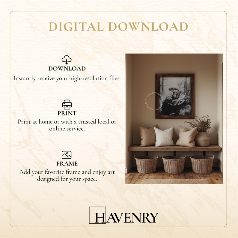 Moody Coiled Snake in Misty Forest - Monochrome Woodland Art, Dramatic ...