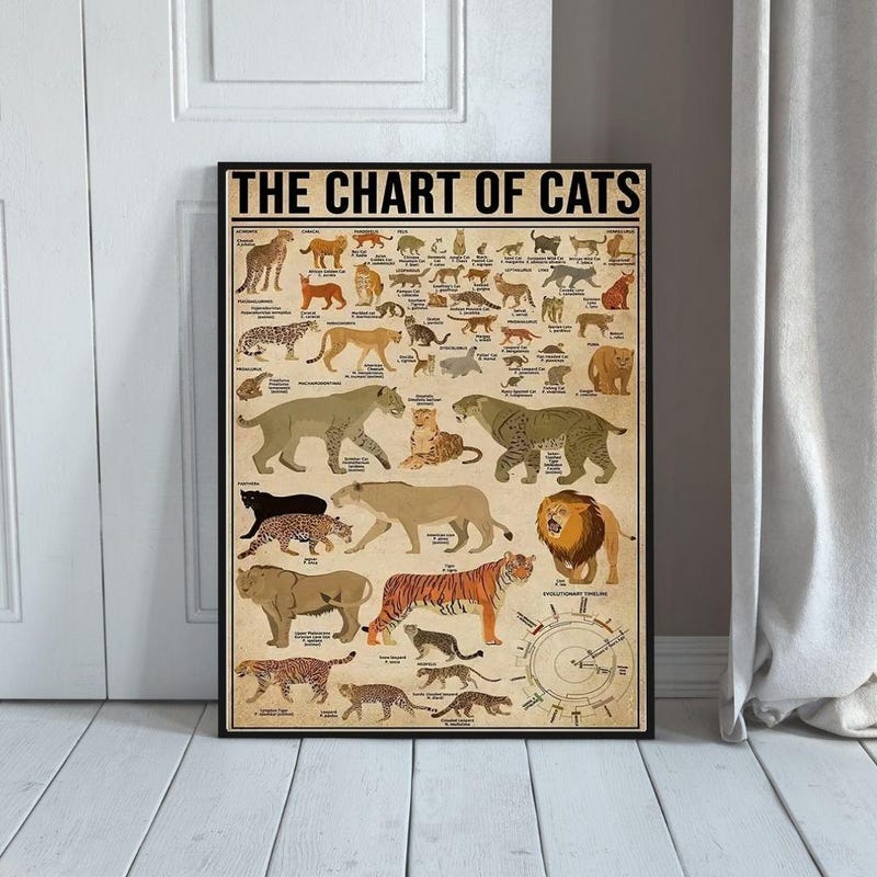 Cat Posters - Etsy