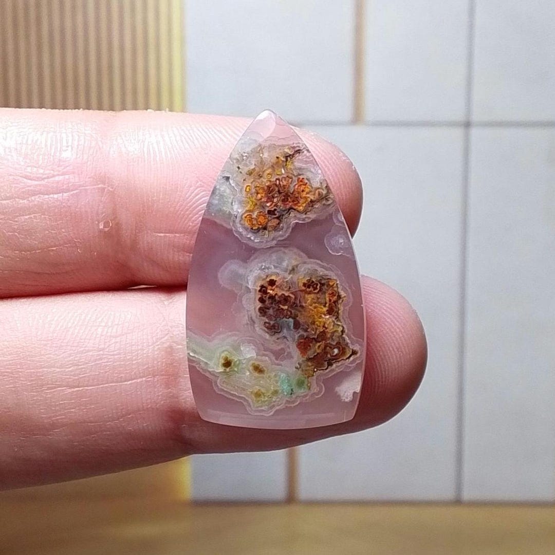 Petrified Wood / Opalized Wood Size : 28x15x6mm - Etsy