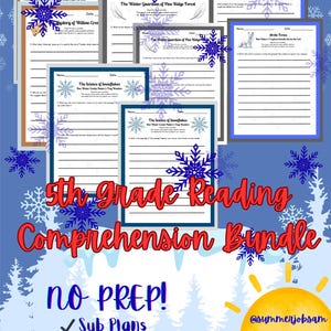 5th Grade Reading Comprehension Worksheets | Winter Reading Passages ...