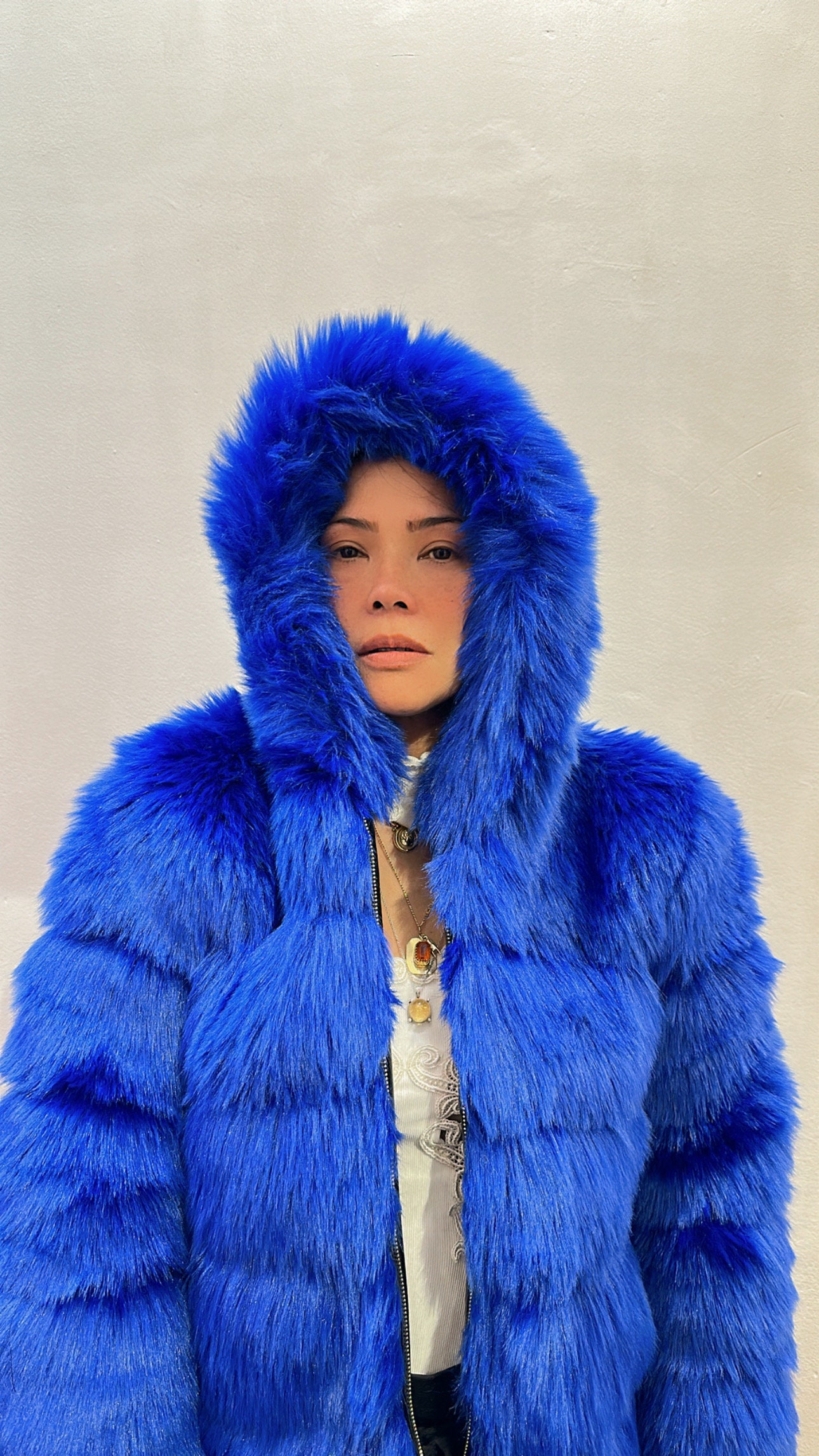 Electric Faux Fur Hooded Coat - Etsy