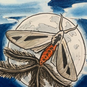 Mothtober Day 31: Baphomet Moth Original Painting - Etsy