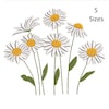 Daisy Flower Embroidery Design, Floral Embroidery, Cute Daisy Flower ...