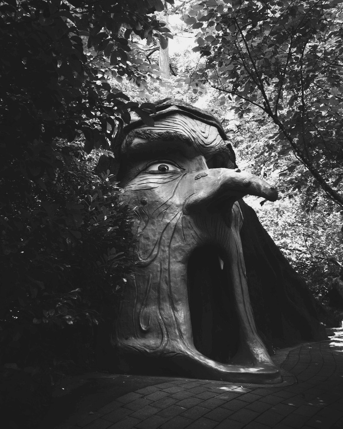 Enchanted Forest Print Wicked Witch Photograph Black and - Etsy