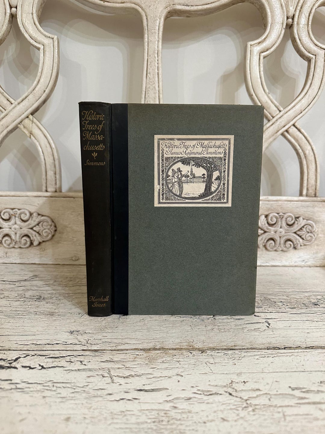 Vintage Tree Book - the Historic Trees of Massachusetts, 1919 - Pretty ...
