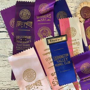 20 Vintage 1960s Dog Show Ribbons Heavily Distressed & Tattered - Etsy