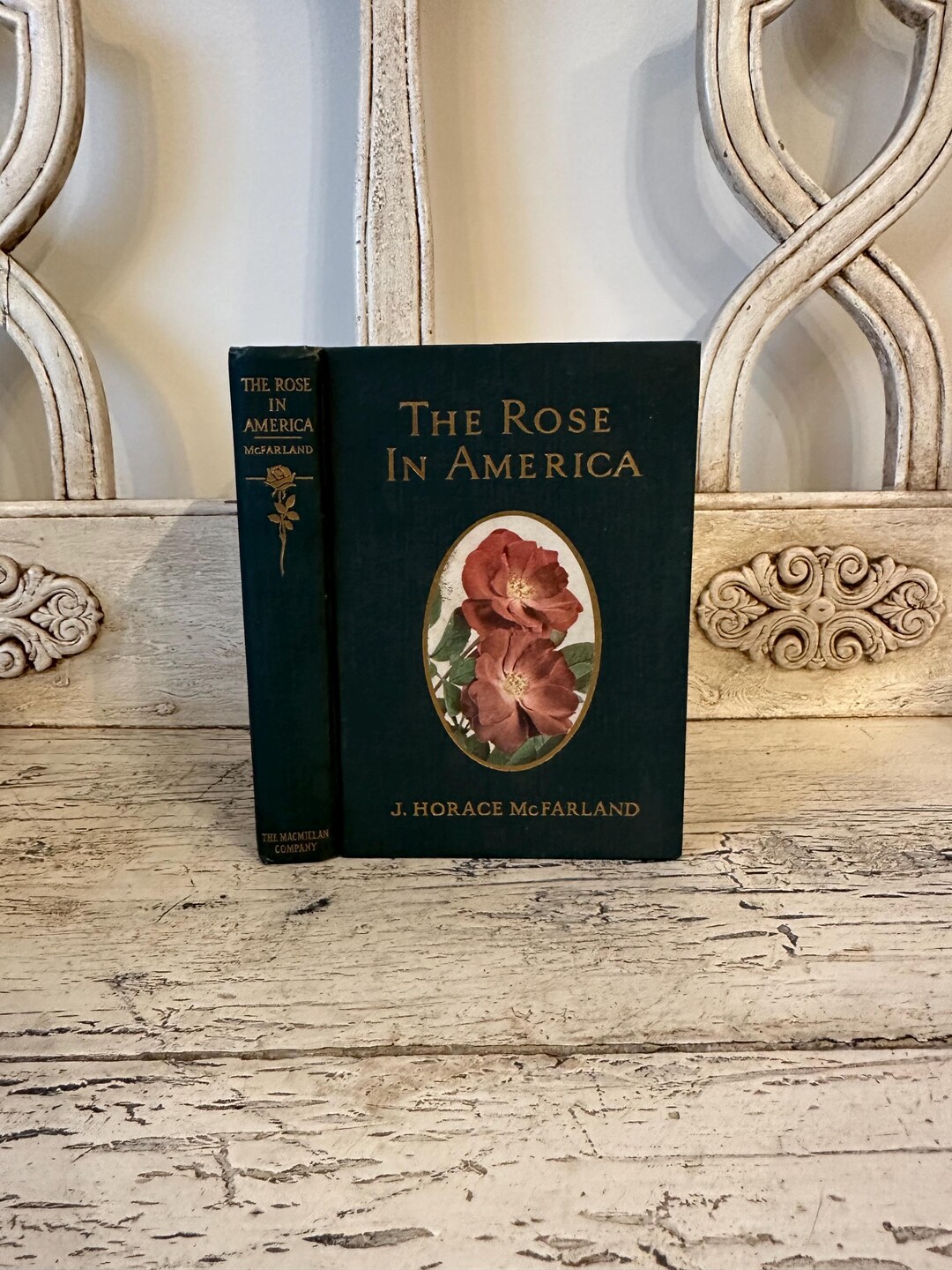 Antique Flower Book - the Rose in America, 1923 - J. Horace Mcfarland ...