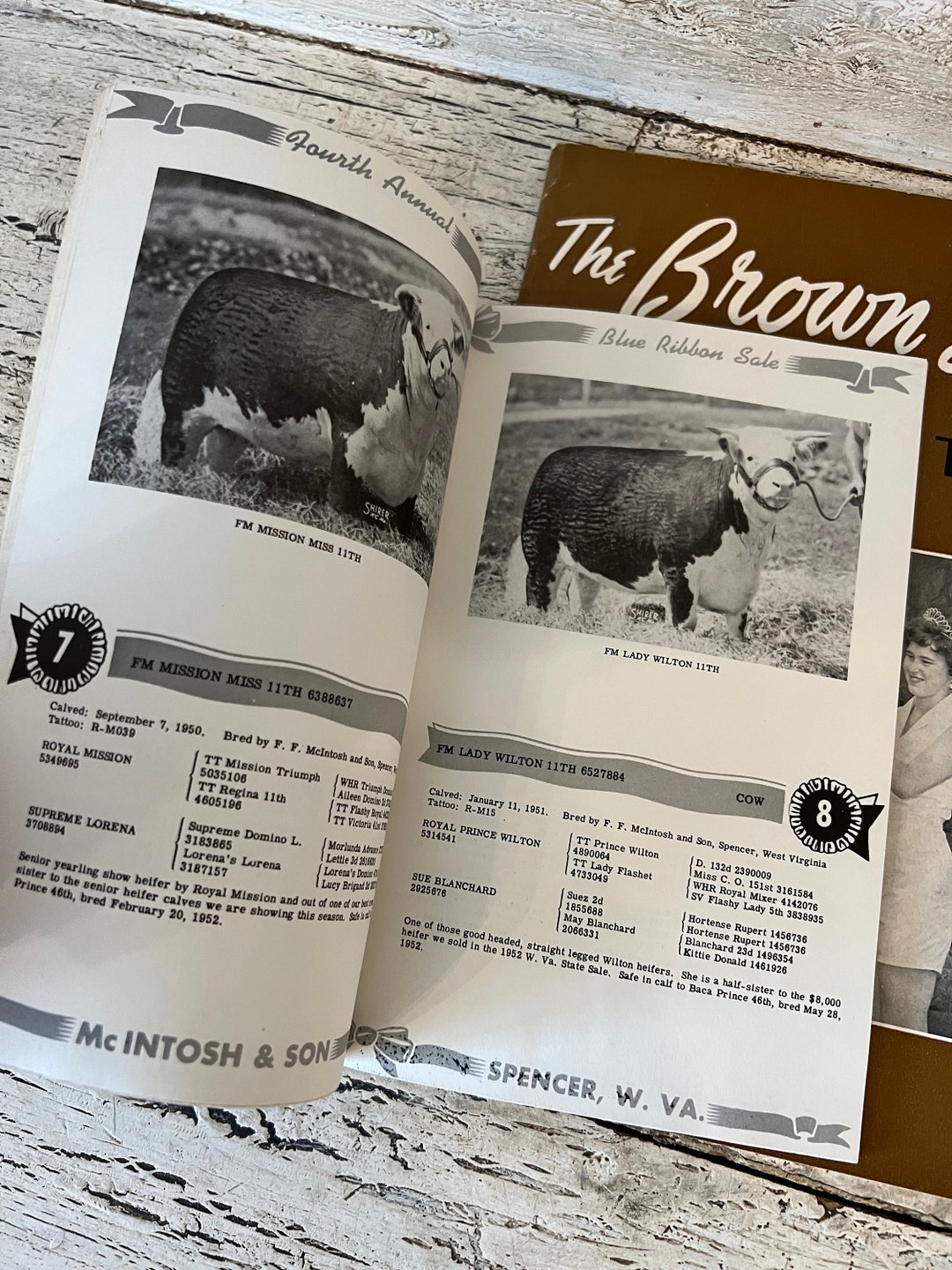 Three Vintage Cow Dairy Farming Pamphlets 40s-60s Vintage - Etsy