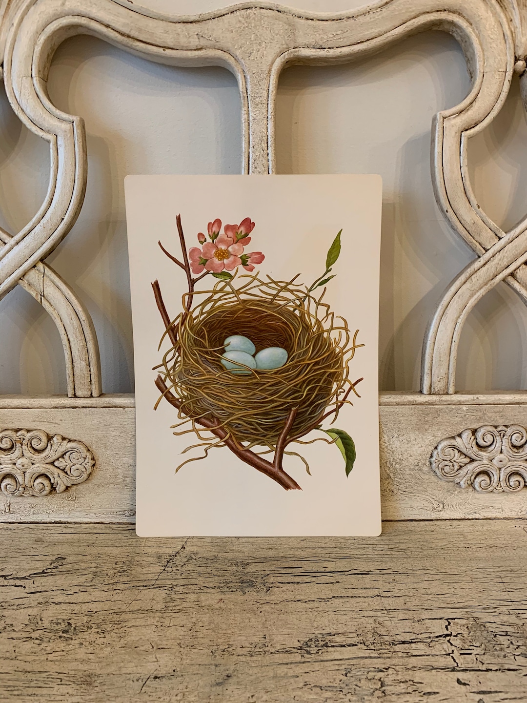 Vintage Alphabet Flash Card Letter N Nest Picture Flash - Etsy