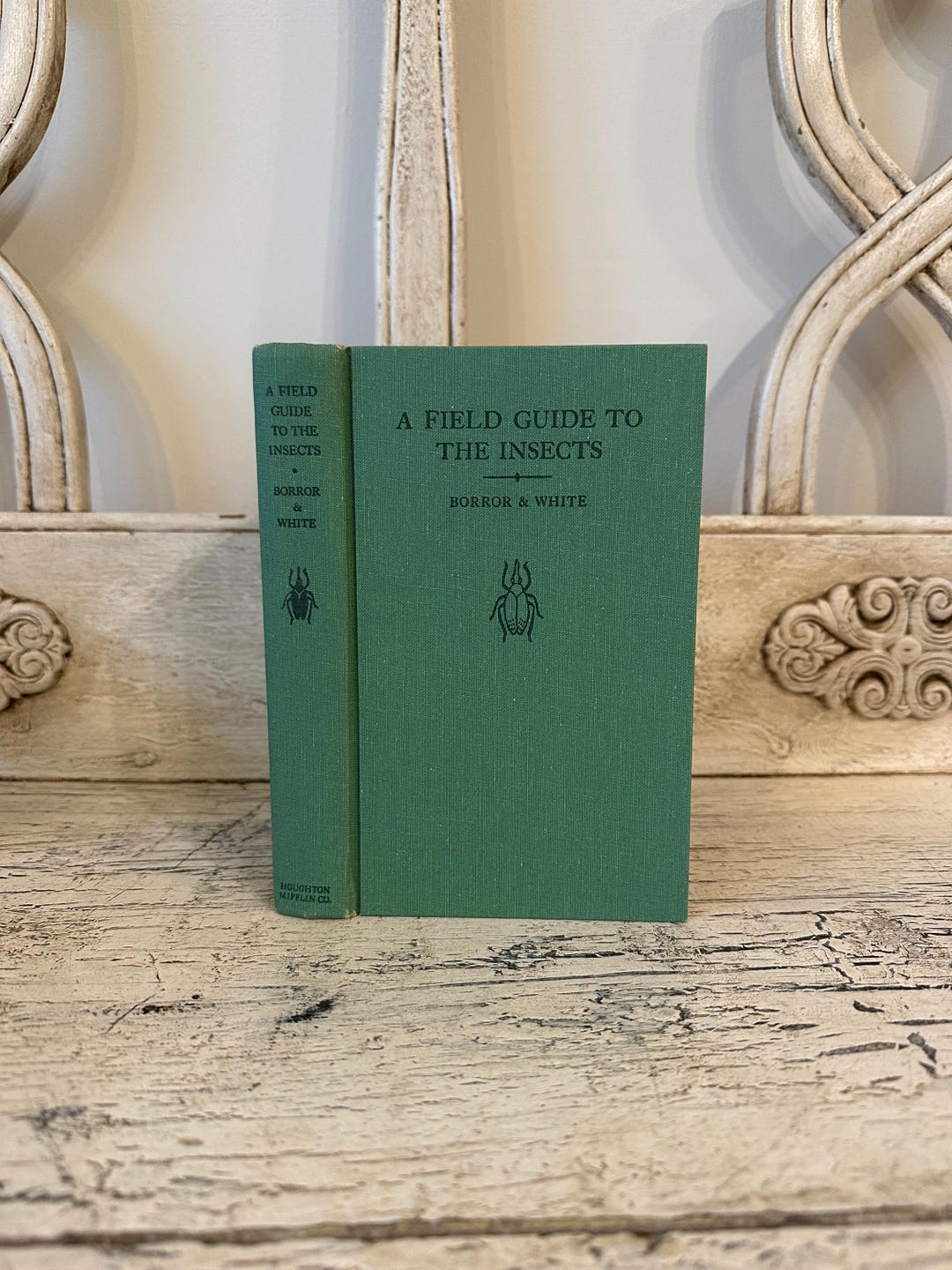 Vintage Field Guide to Insects - 1970's - Etsy