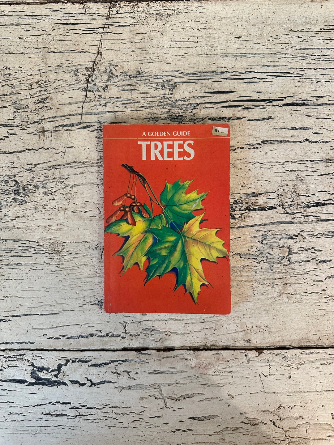 Vintage Golden Nature Guide - Trees, 1956 - Pocket Size - Etsy
