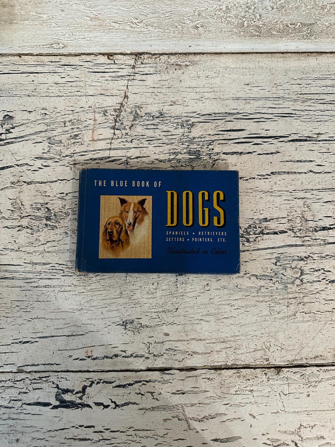 Small Pocket Guide to Dogs - the Blue Book of Dogs - 1938 - Lightly ...