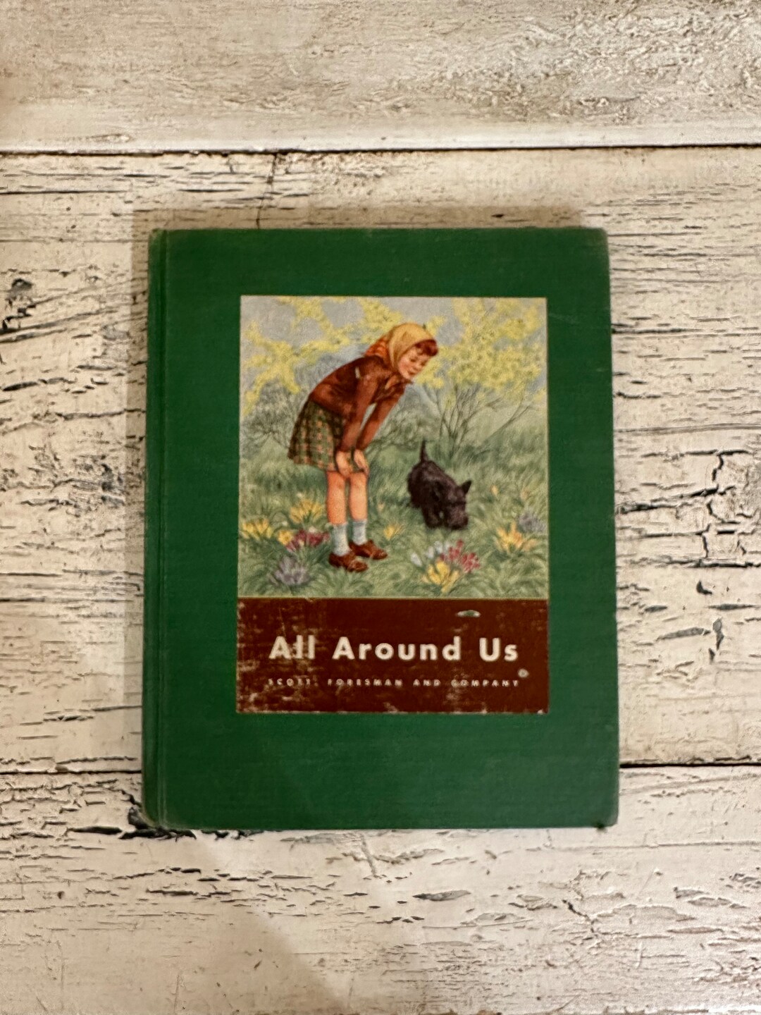 Vintage Children's School Science Book, 1944 - Beautiful 1940s Graphics ...