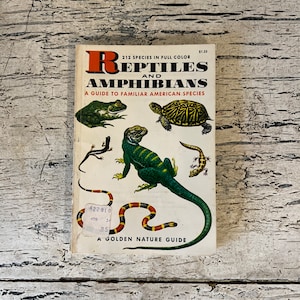 Vintage Golden Nature Guide - Reptiles and Amphibians, 1956 - Pocket ...