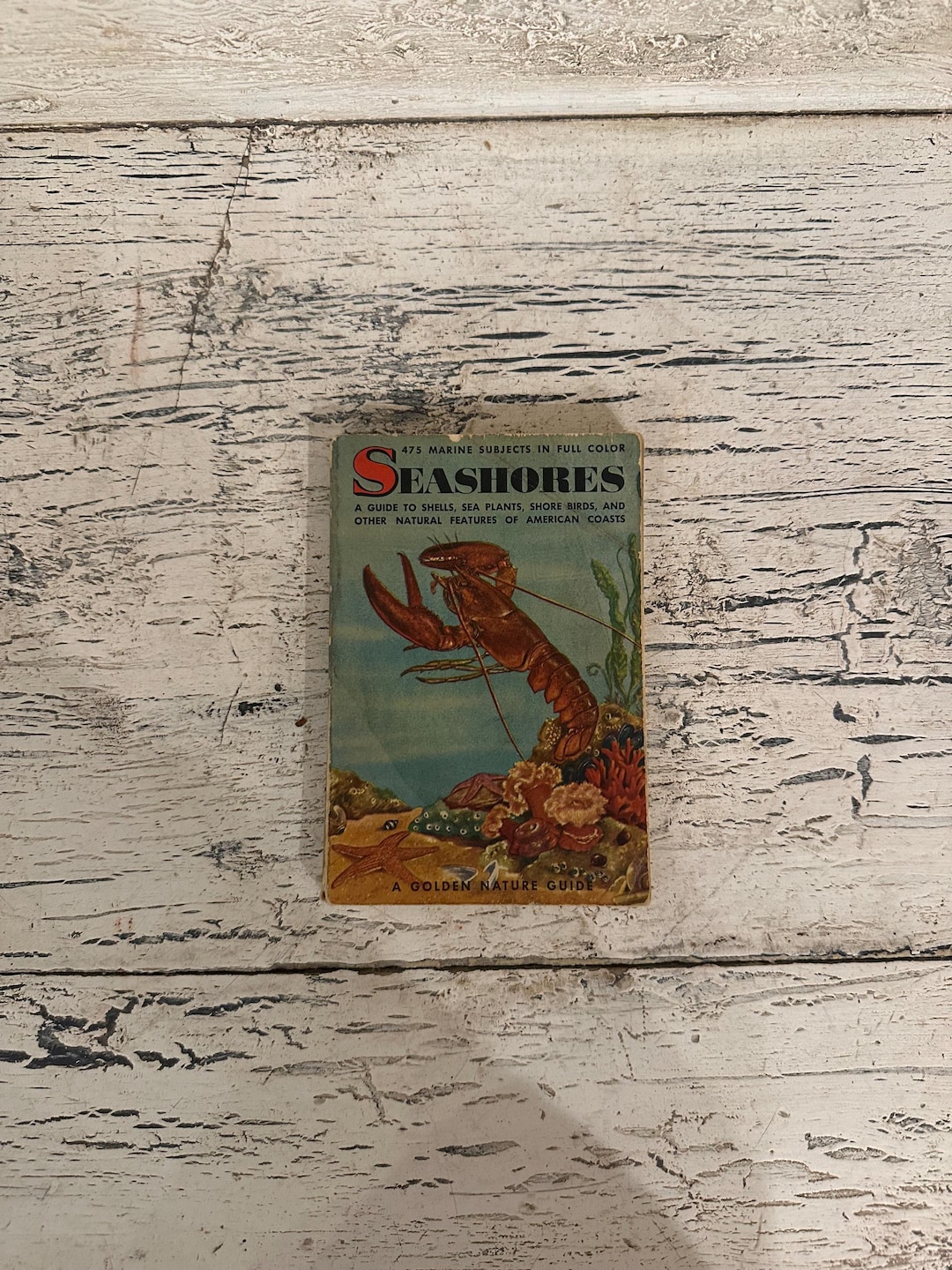 Vintage Golden Nature Guide - Seashores - 1955 - Pocket Size - Etsy