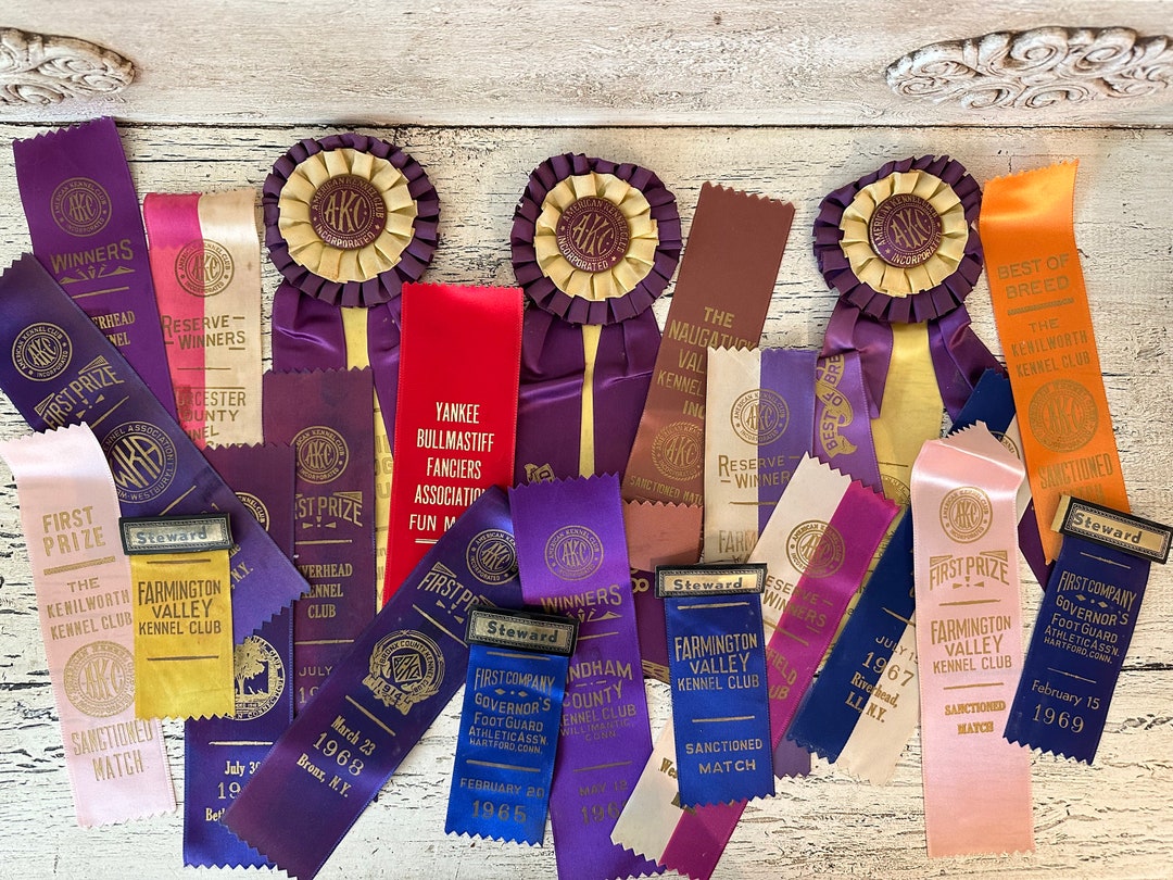 20 Vintage 1960s Dog Show Ribbons - Heavily Distressed & Tattered - Etsy